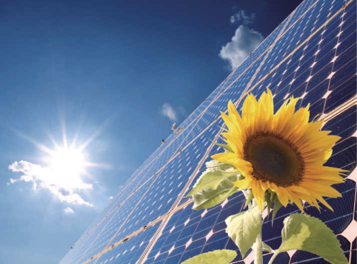 Swelect scores 100% of HHV Solar | Law.asia