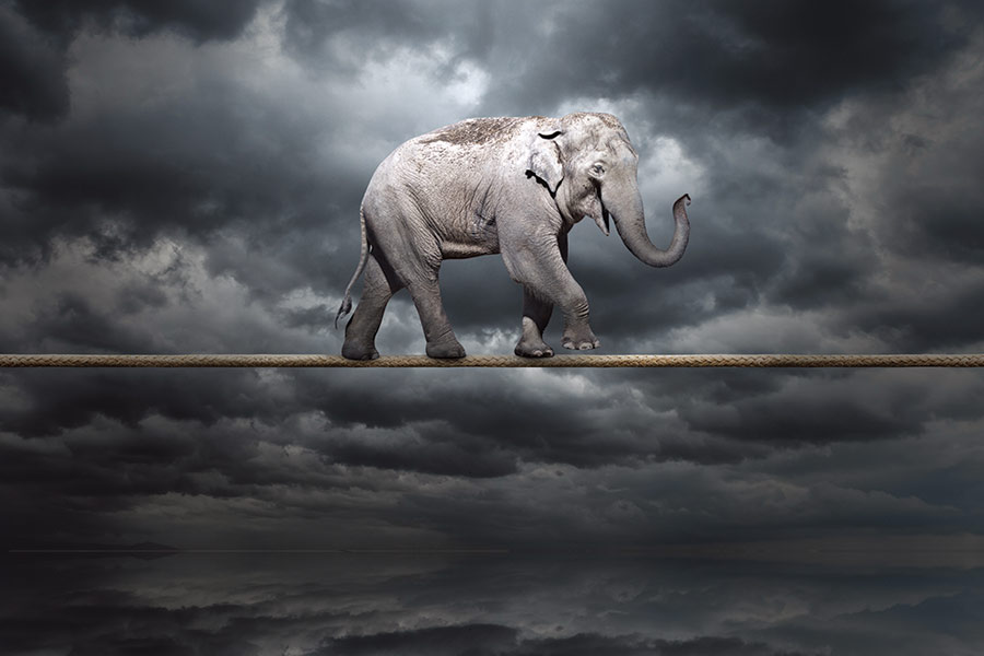 How to implement sound risk management practices | India Business Law