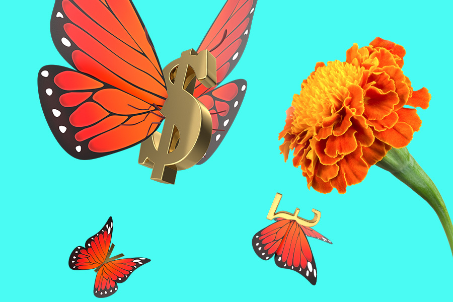 Insurance in bloom | India Business Law Journal