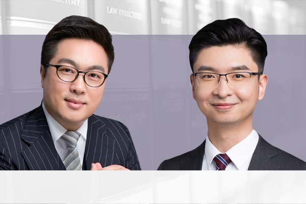 Standing bodies as a model for REIT governance | China Business Law Journal