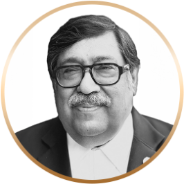 Pravin Anand > Anand and Anand > India Top Lawyers 2024-25